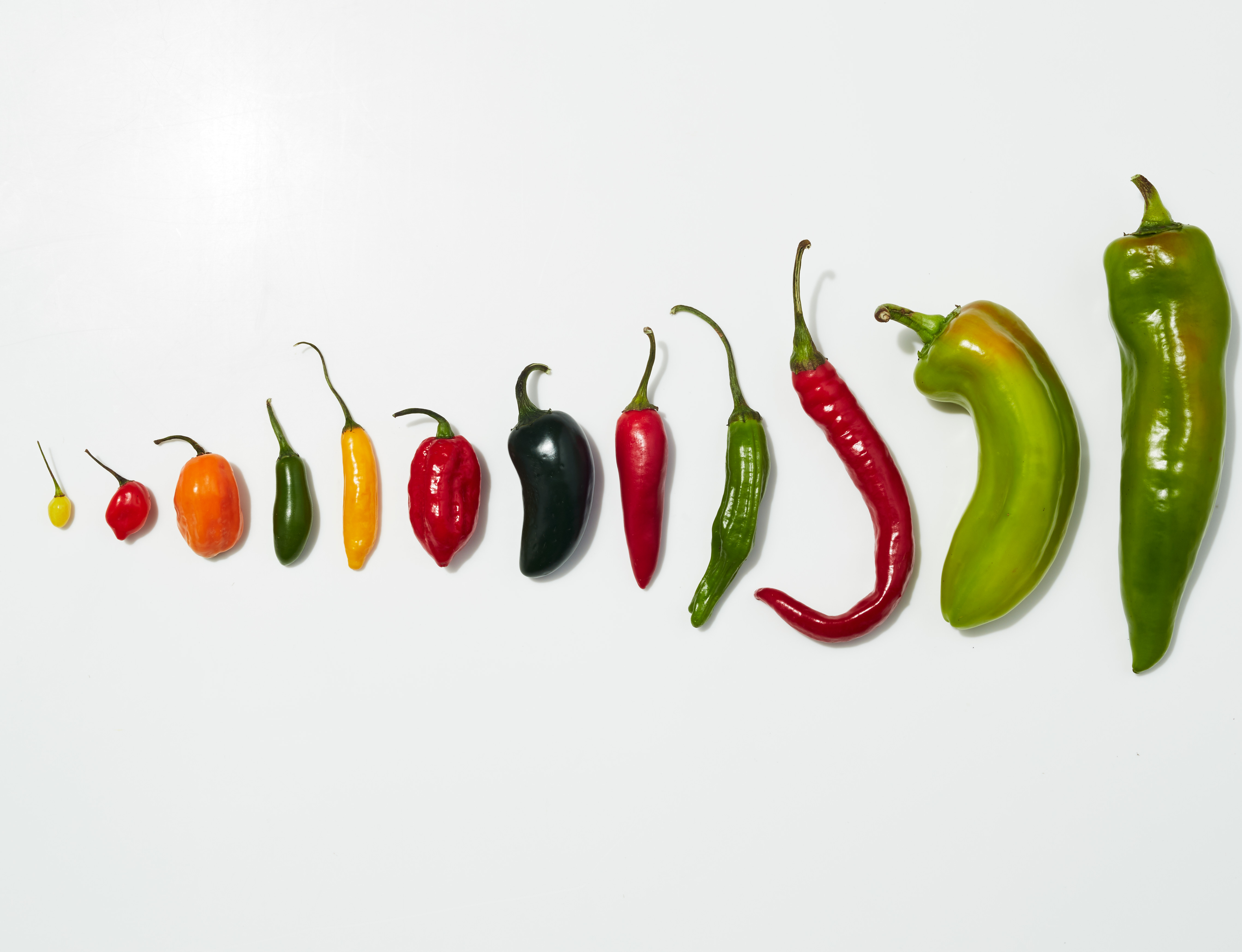 Handy Guide To Chili Peppers – This Girl Loves to Eat!